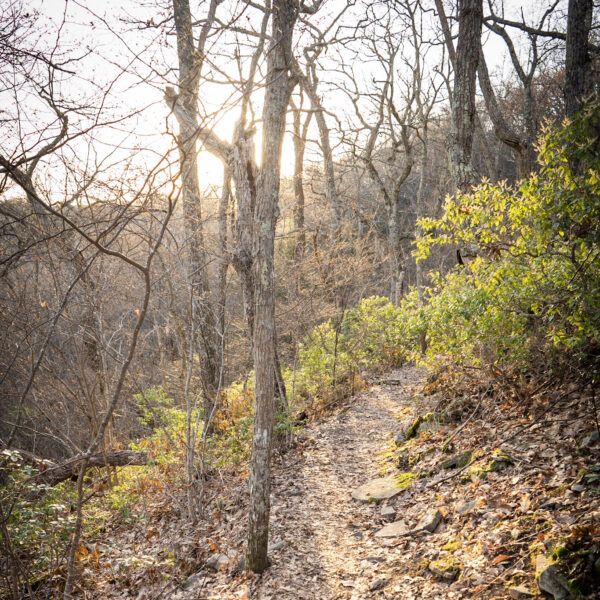 High Knob Fire Tower - Harrisonburg