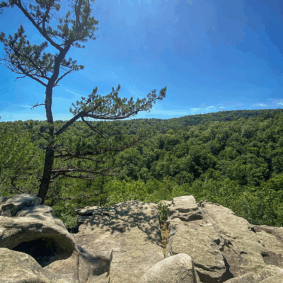 Hiking Trails - Harrisonburg