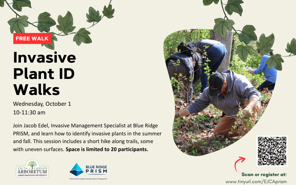 Invasive Plant ID Walk - Harrisonburg